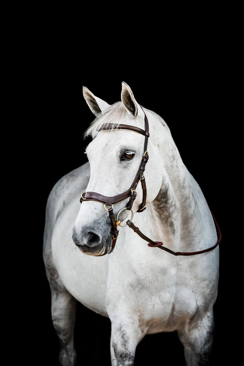 The New Horseware Micklem Bridle