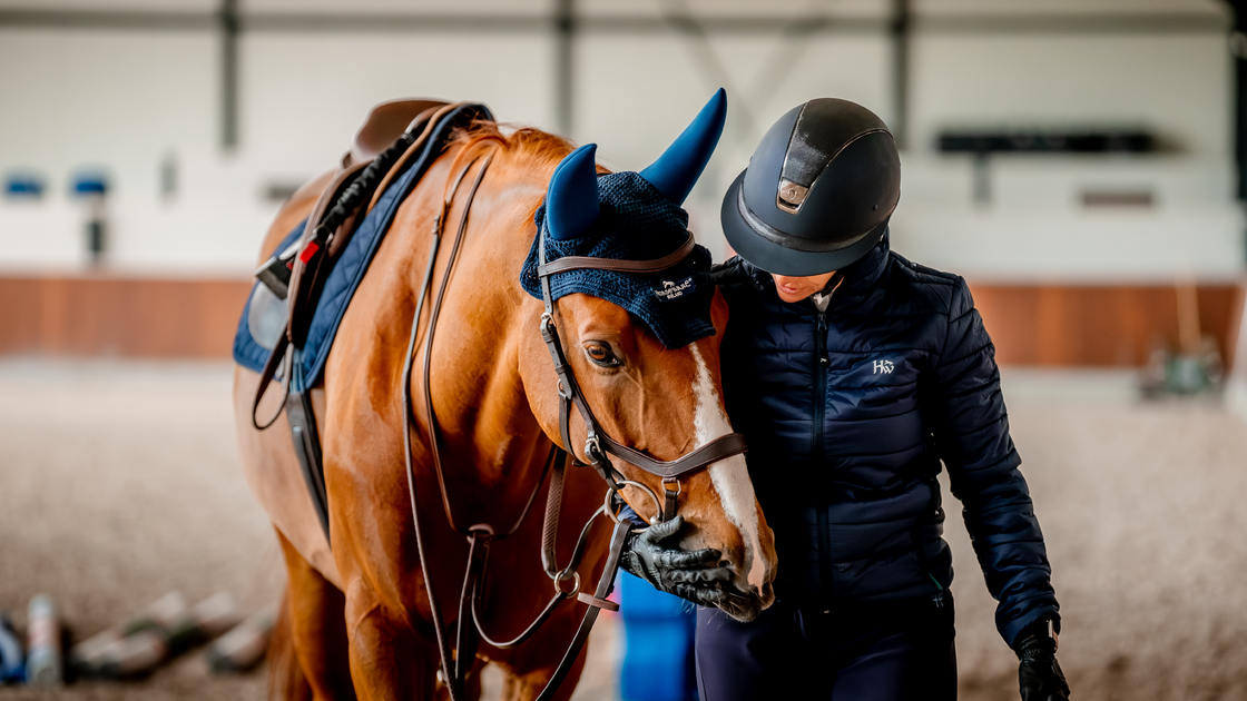 Guide pour débutants sur la façon de bien harnacher un cheval