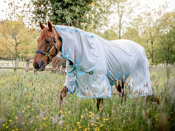 Horseware AmECO Products Review