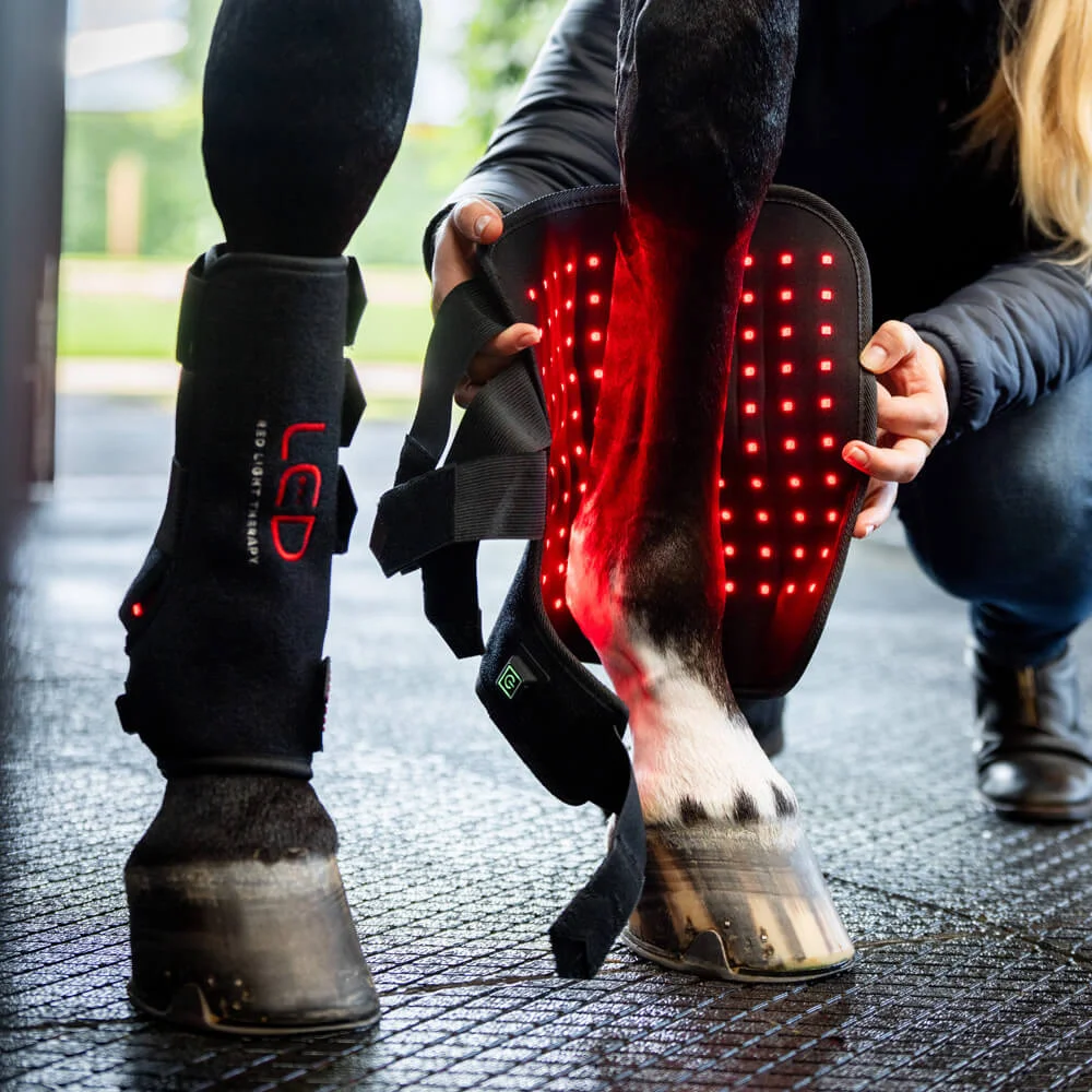 Horseware LED Red Light Therapy | Horseware Ireland