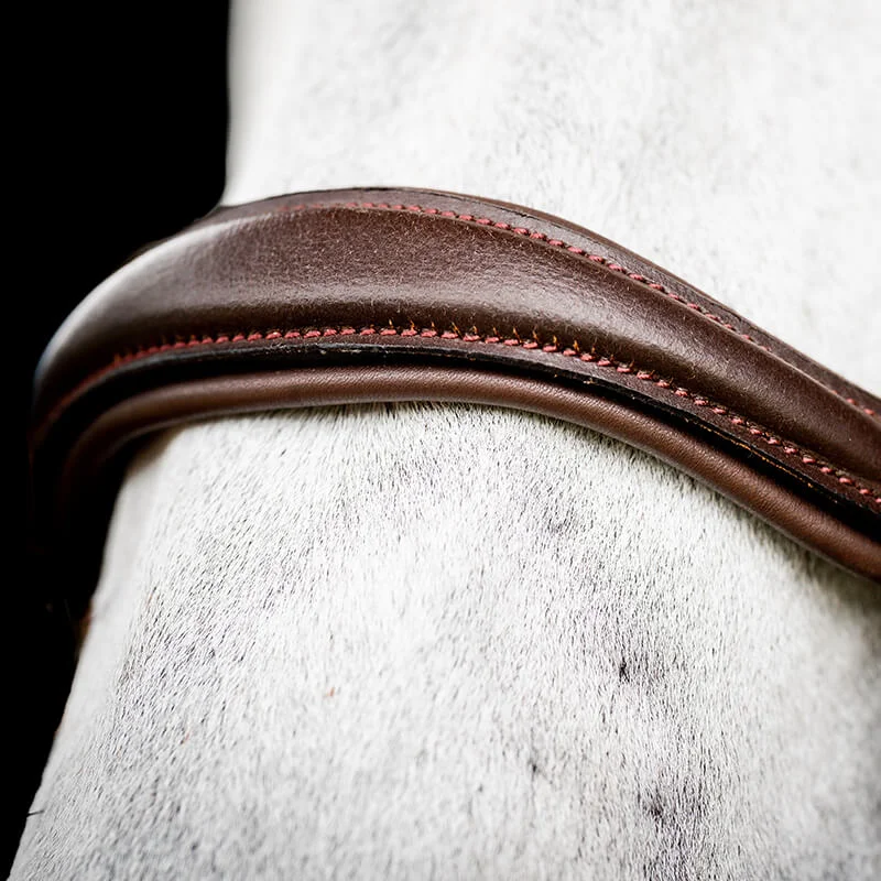 Das neue Zaumzeug Micklem 2