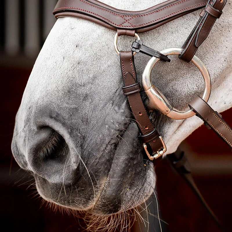 The New Horseware Micklem Bridle