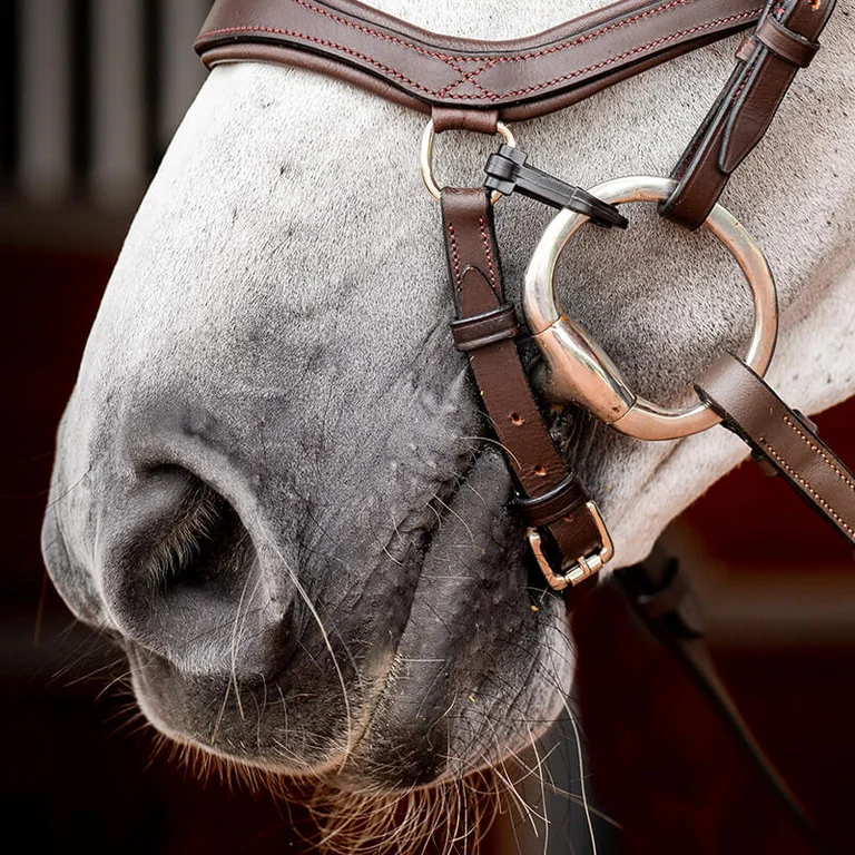 The New Horseware Micklem Bridle