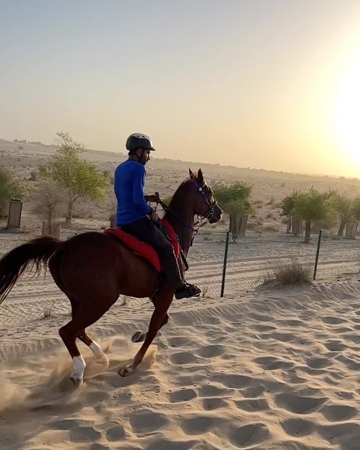 Hiking, Ziplining, and Skydiving: How Thrill-Seekers Do Adventure in ...