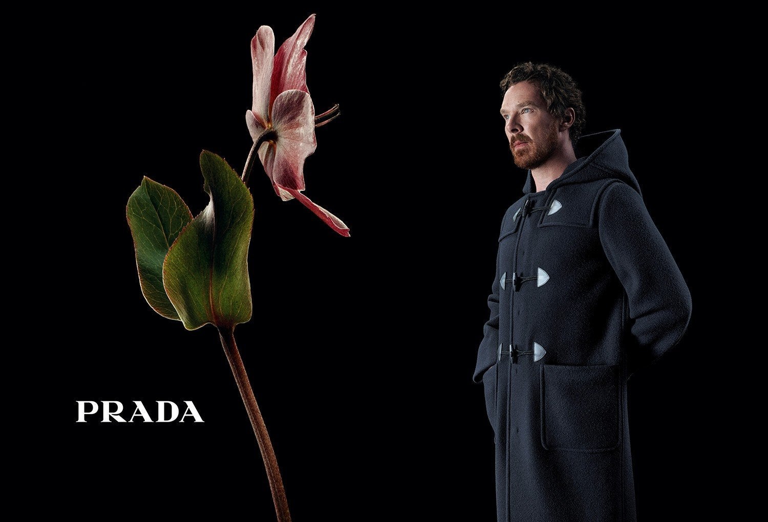 Prada's New Campaign Is a Surrealist Dialogue between Humans and Blooms ...