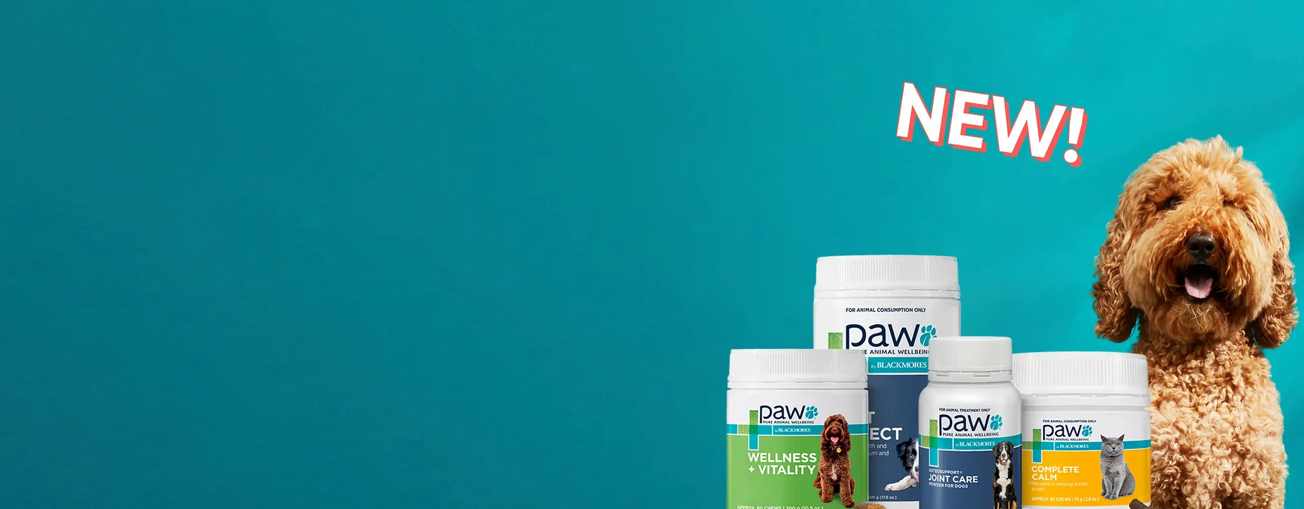 PAW by Blackmores | healthylife