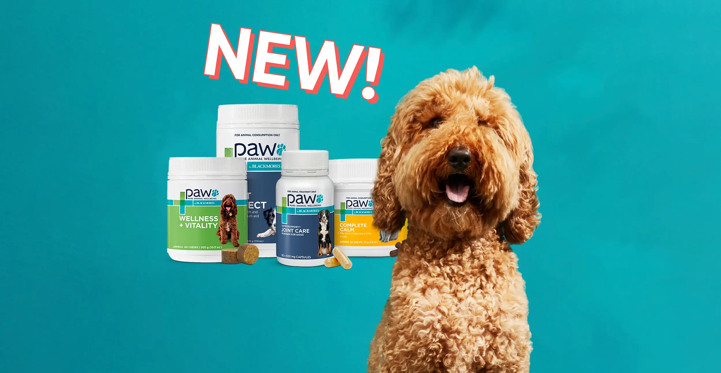 PAW by Blackmores | healthylife