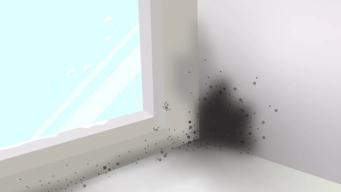 What is black mould? Here’s everything you need to know.