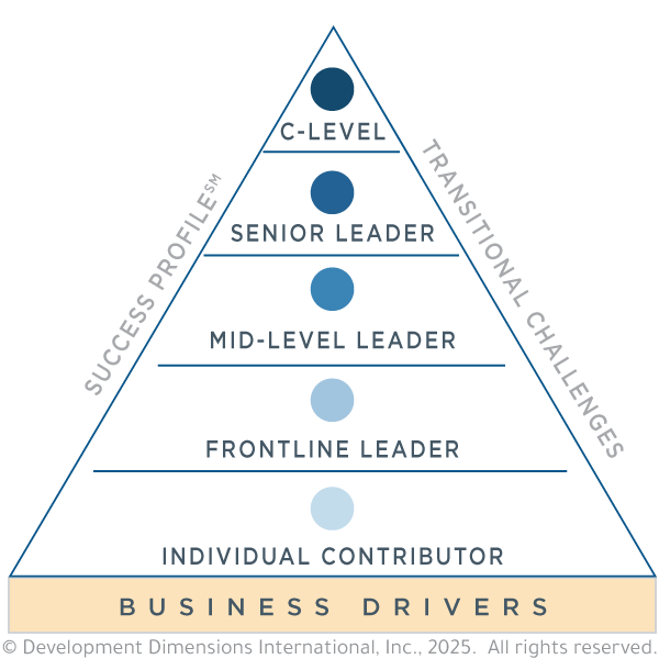 Lominger Leadership Competency Model Leadership Competencies Model