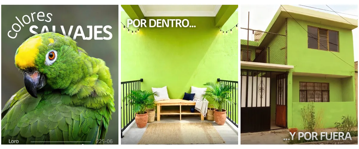 Paleta de colores para interiores y exteriores Comex