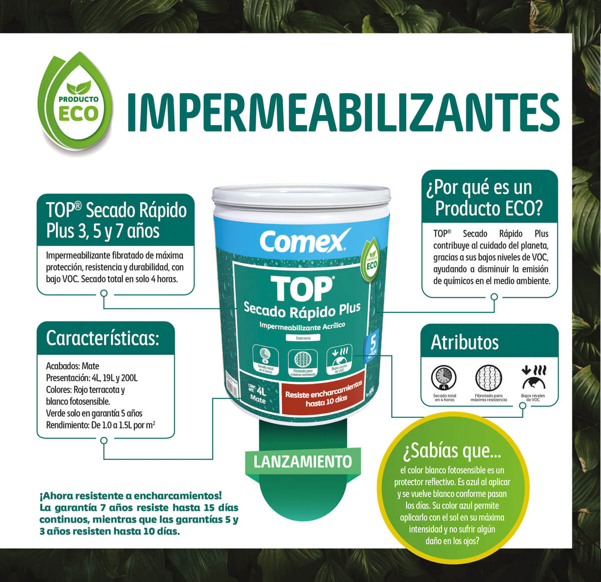 Productos ECO de Comex®
