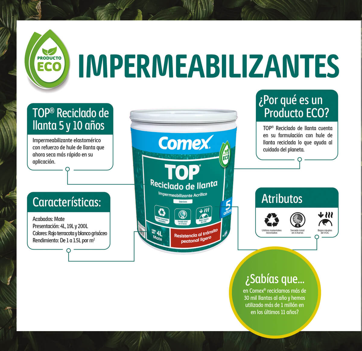 Productos ECO de Comex®