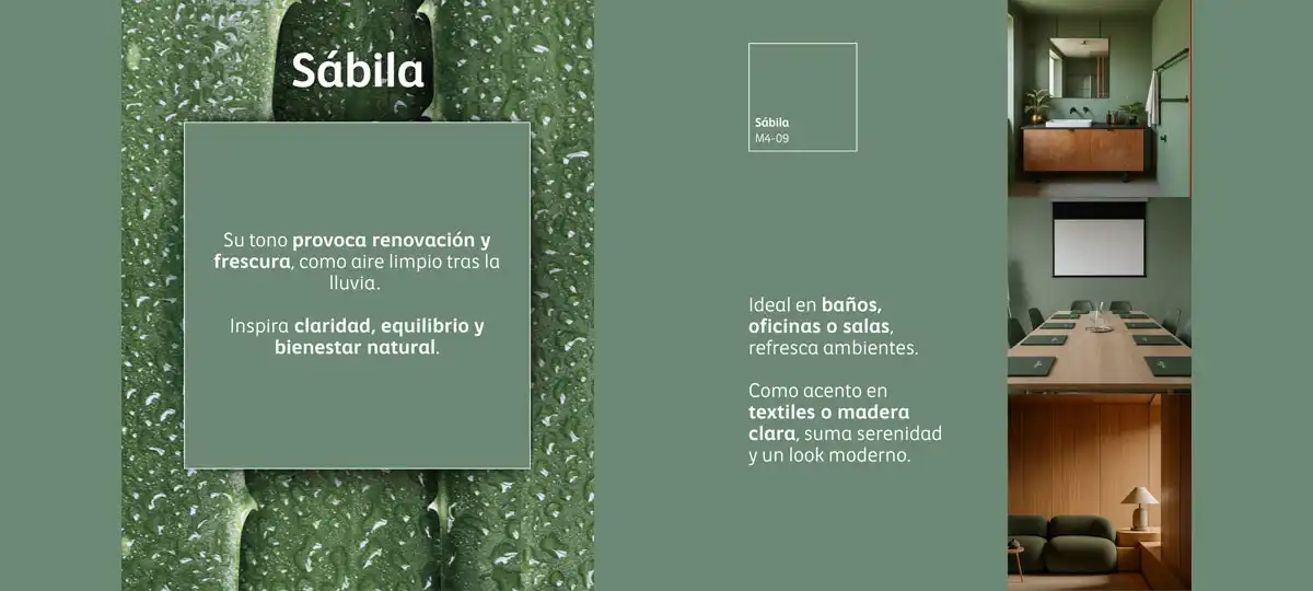 Colores que se antojan: Xoconostle, Arándano, Chamoy, Sábila, Chía