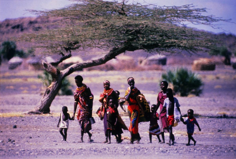 When refugees bring real benefits to host communities - UNSW BusinessThink