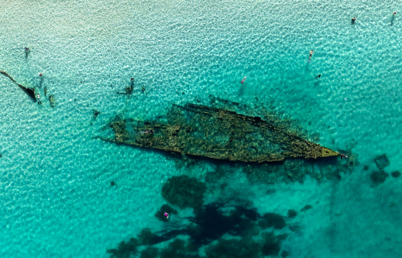 Deeper into nature and wildlife with Dreamer Nush Freedman - Tourism ...