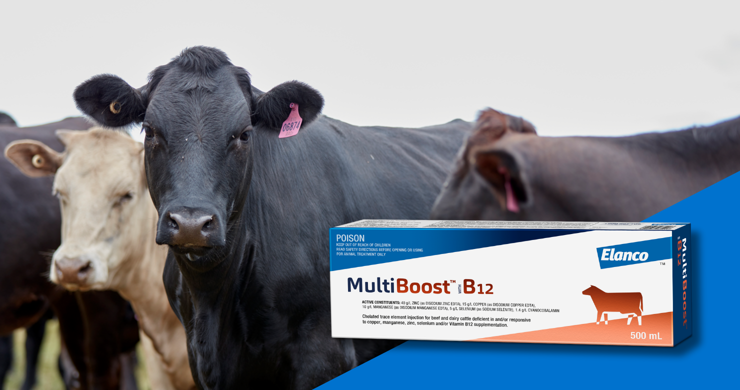 New multi-mineral booster gives cattle the five-way power to perform