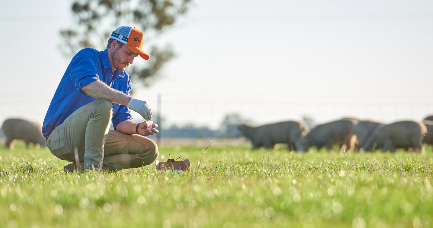 Elanco's Investment in ParaBoss Certification: A Commitment to ...