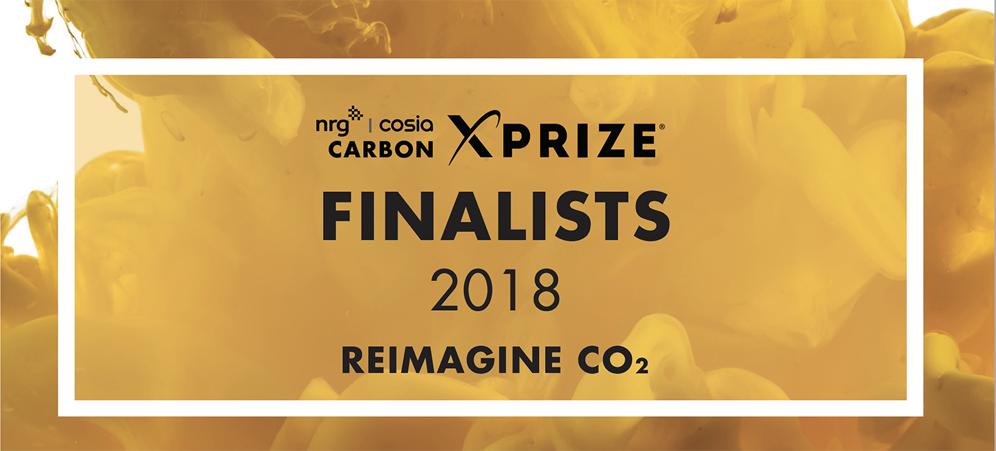 Finalist Team Profiles