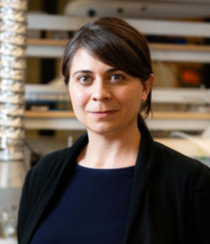 XPRIZE Foundation Bio - Dr. Desiree Plata