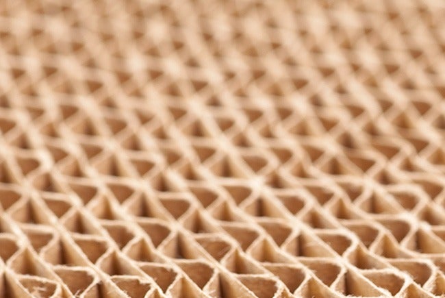 Pioneering Efficient Packaging | Georgia-Pacific News Pioneering Efficient Packaging | Georgia-Pacific News