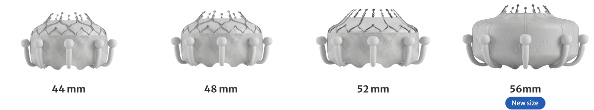 EVOQUE Tricuspid Valve Replacement | Edwards Lifesciences