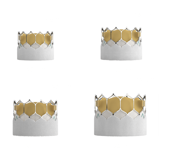The PROGRESS Trial | Edwards Lifesciences