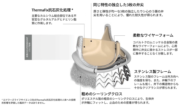 EDWARDS INTUITY Elite バルブシステム | Edwards Lifesciences