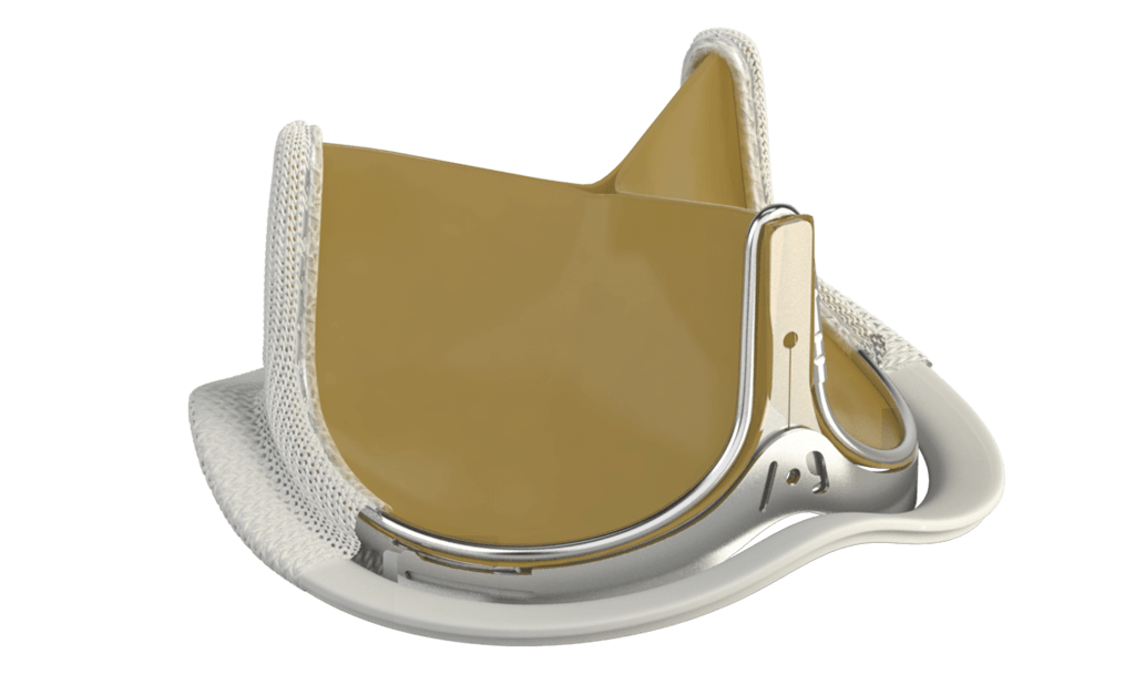 Edwards RESILIA Tissue Family Media Toolkit - INSPIRIS RESILIA Aortic ...