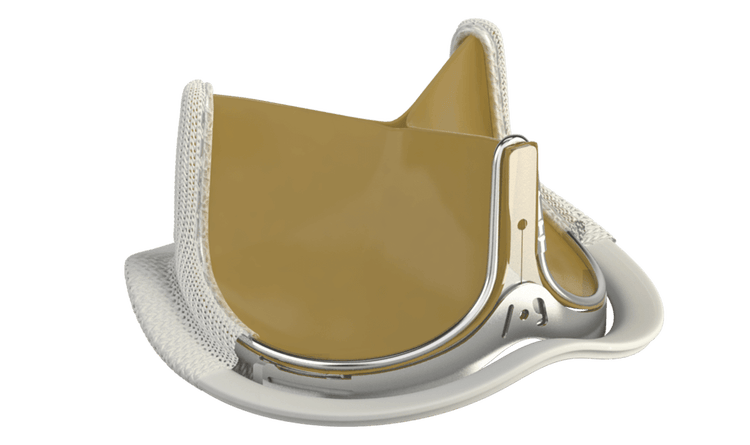 Edwards RESILIA Tissue Family Media Toolkit - INSPIRIS RESILIA Aortic ...