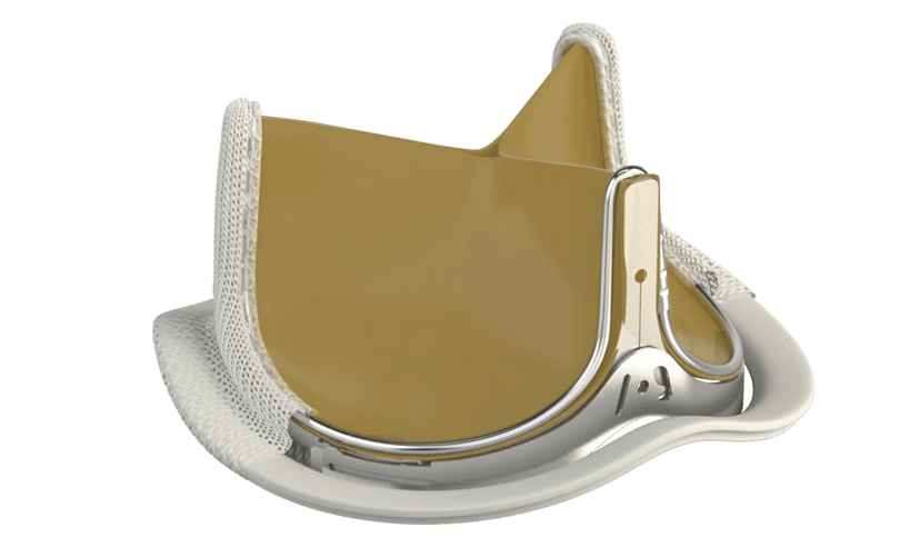 Edwards RESILIA Tissue Family Media Toolkit - INSPIRIS RESILIA Aortic ...