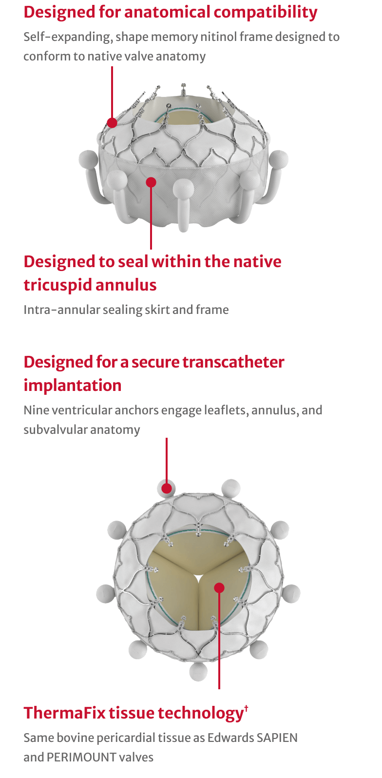 EVOQUE Tricuspid Valve Replacement | Edwards Lifesciences