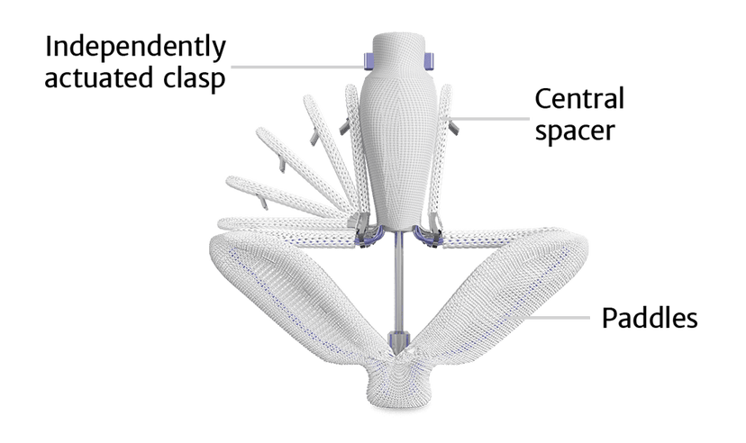 CLASP IID | Edwards Lifesciences