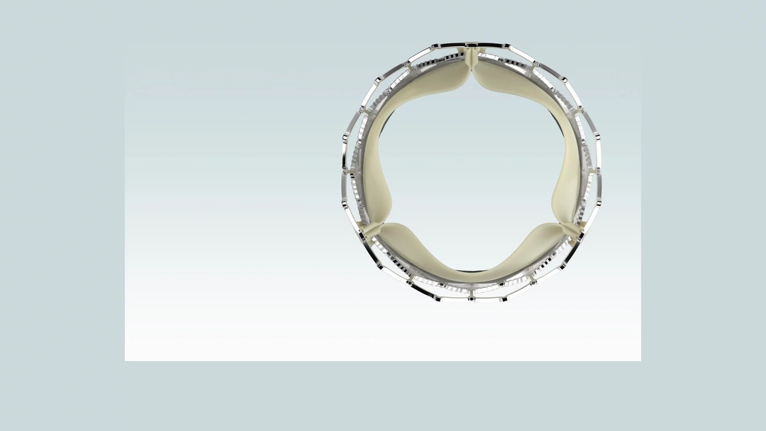 Valve aortique INSPIRIS RESILIA | Edwards Lifesciences