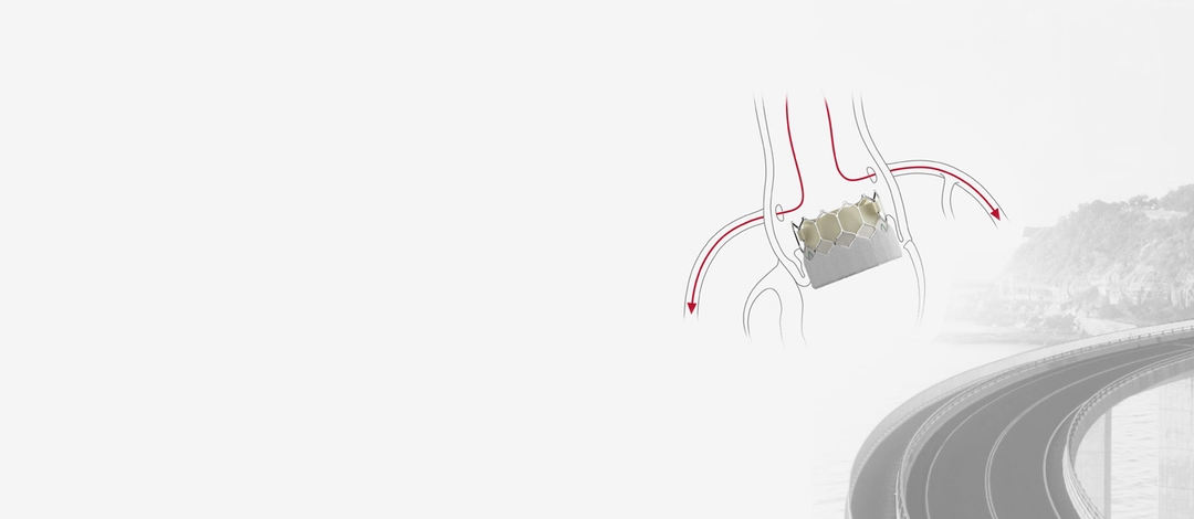 Transcatheter SAPIEN 3 Ultra | Edwards Lifesciences