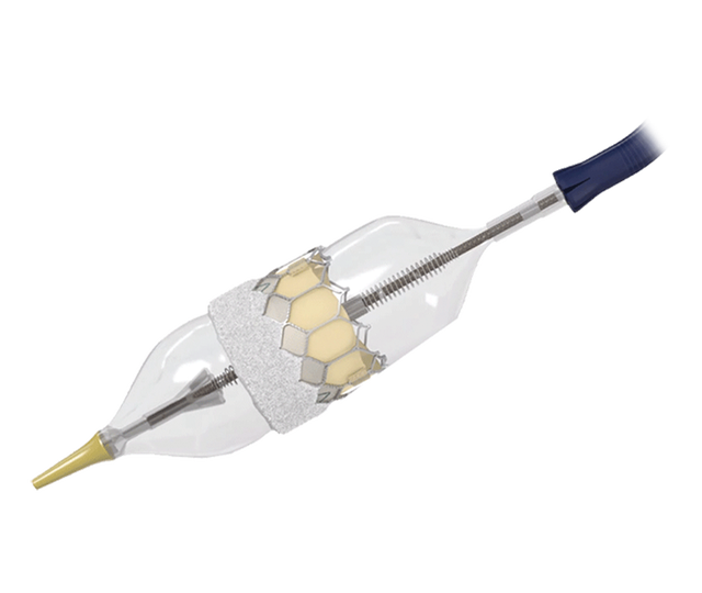 Transcatheter SAPIEN 3 Ultra | Edwards Lifesciences