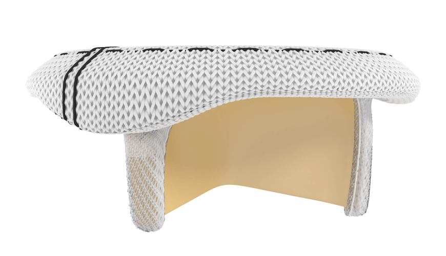 Mitral Pericardial Valve | Edwards Lifesciences