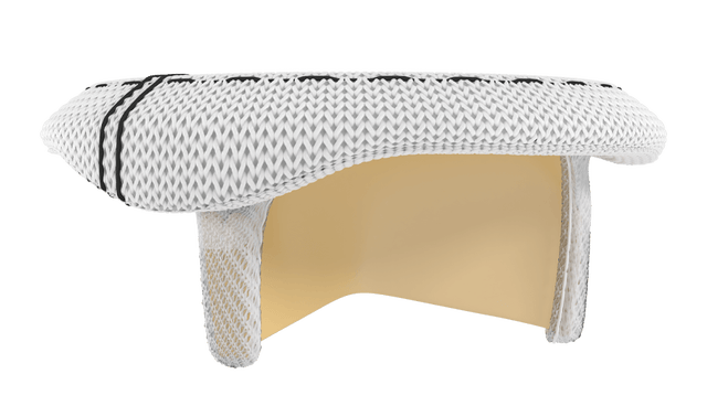 Mitral Pericardial Valve | Edwards Lifesciences
