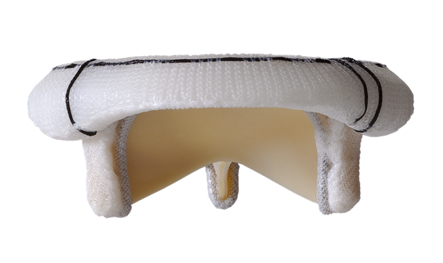 Surgical Mitral Heart Valves | Edwards Lifesciences