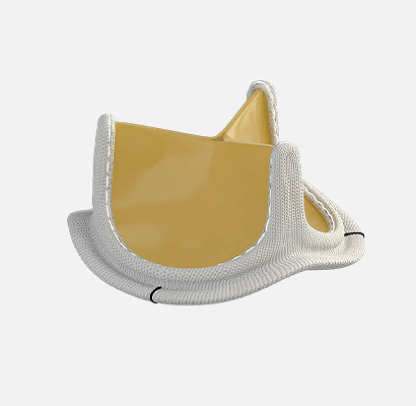 INSPIRIS RESILIA Valve - RESILIA | Edwards Lifesciences