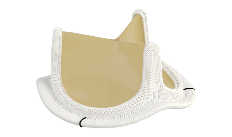 Edwards RESILIA Tissue Family Media Toolkit - INSPIRIS RESILIA Aortic ...