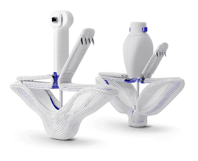 About the PASCAL implant | Edwards Lifesciences