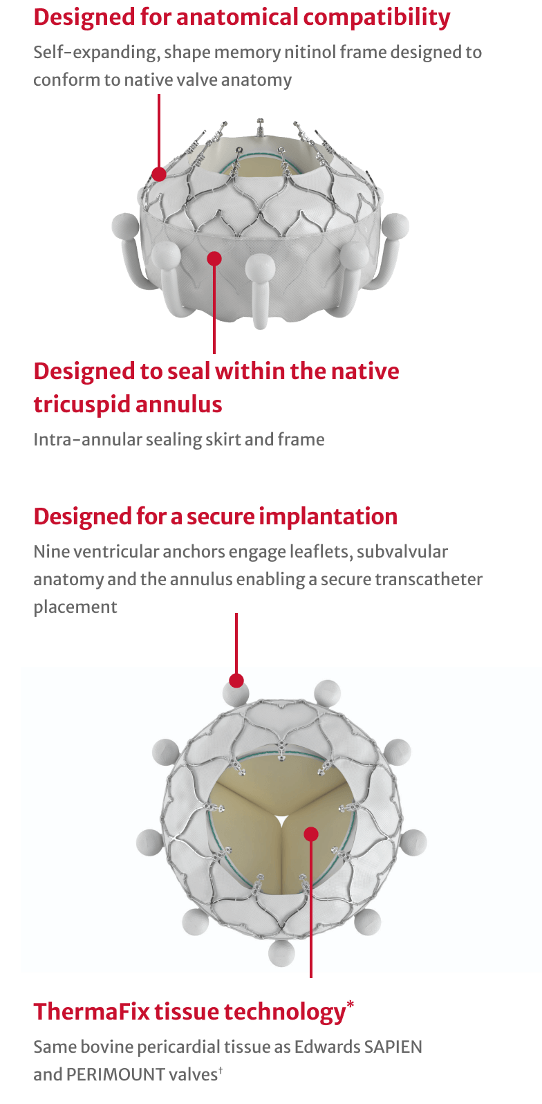 EVOQUE Tricuspid Valve Replacement | Edwards Lifesciences