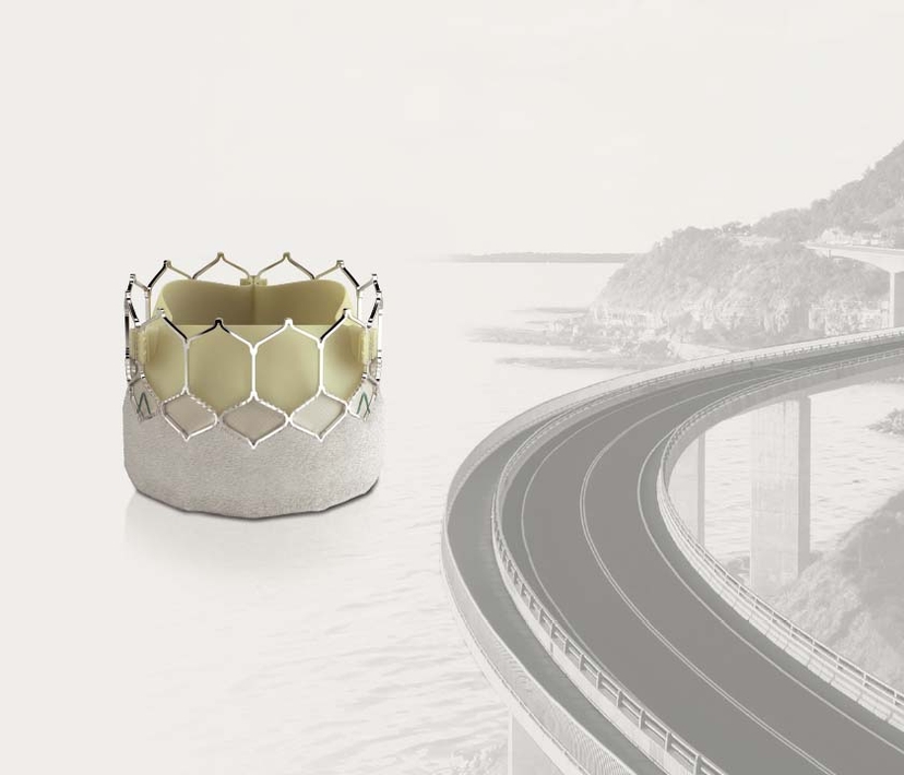 Transcatheter Aortic Valve Replacement | Edwards Lifesciences
