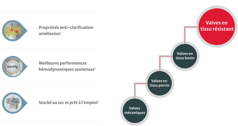 Conduit aortique à valve KONECT RESILIA | Edwards Lifesciences
