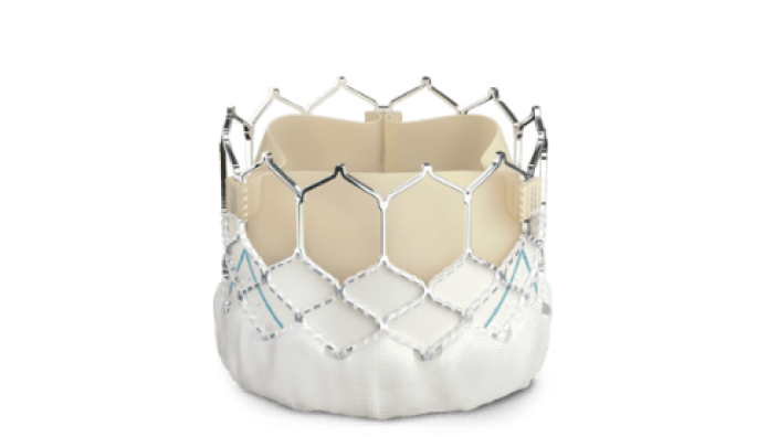 Edwards Lifesciences - the leader in heart valves & hemodynamic ...