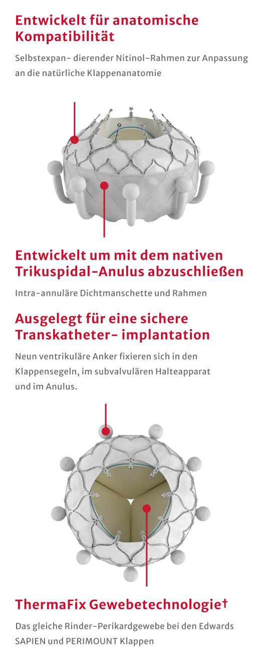 EVOQUE Trikuspidalklappenersatz | Edwards Lifesciences