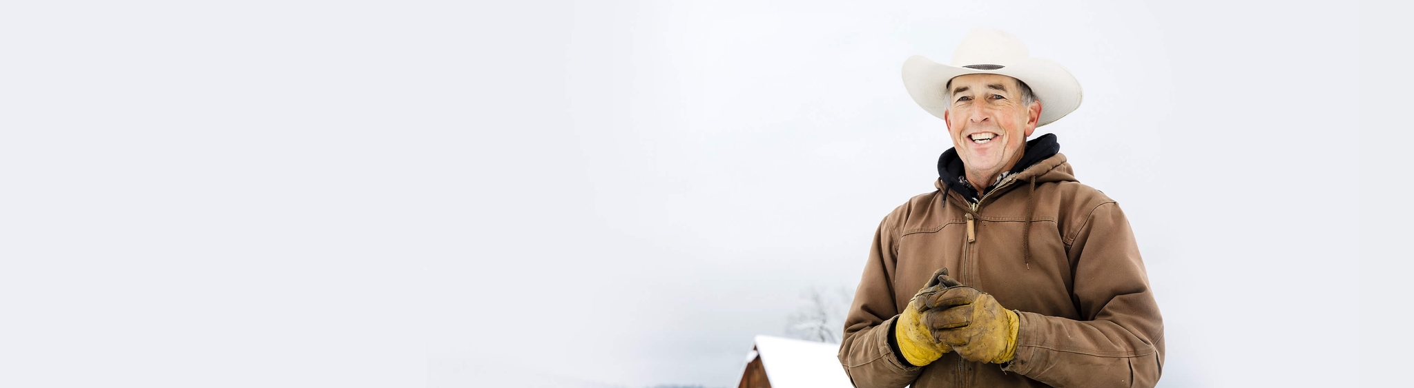 TRISCEND II Trial for Tricuspid Regurgitation | Edwards Lifesciences