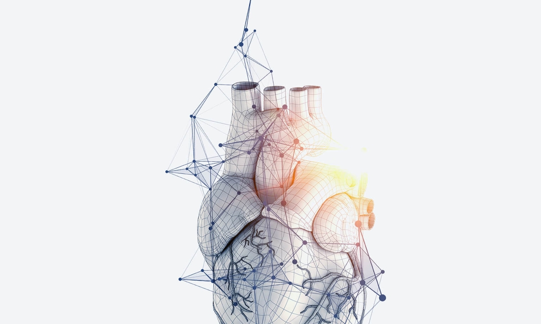Cardiovascular Innovation Fellowship | Edwards Lifesciences