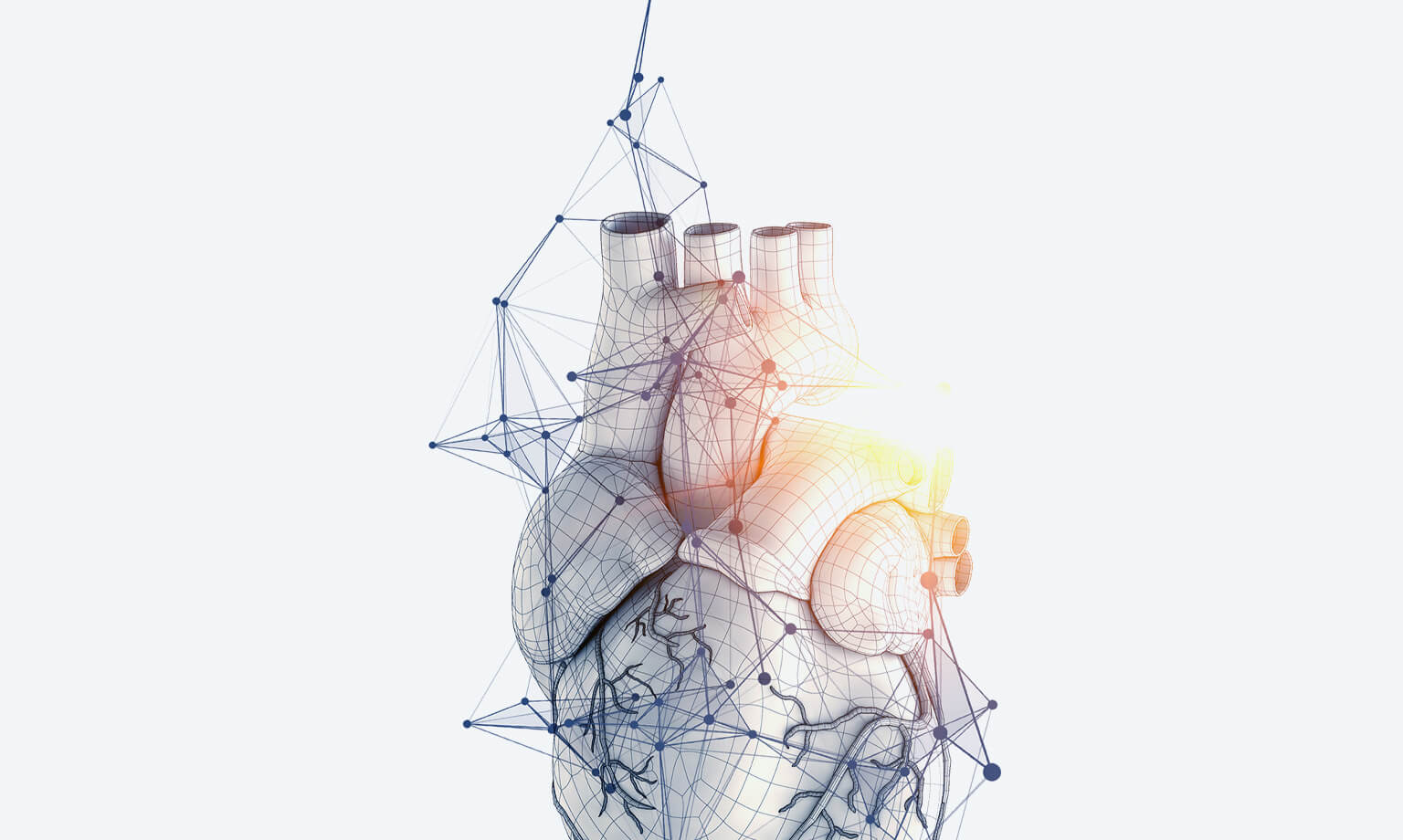 Cardiovascular Innovation Fellowship | Edwards Lifesciences