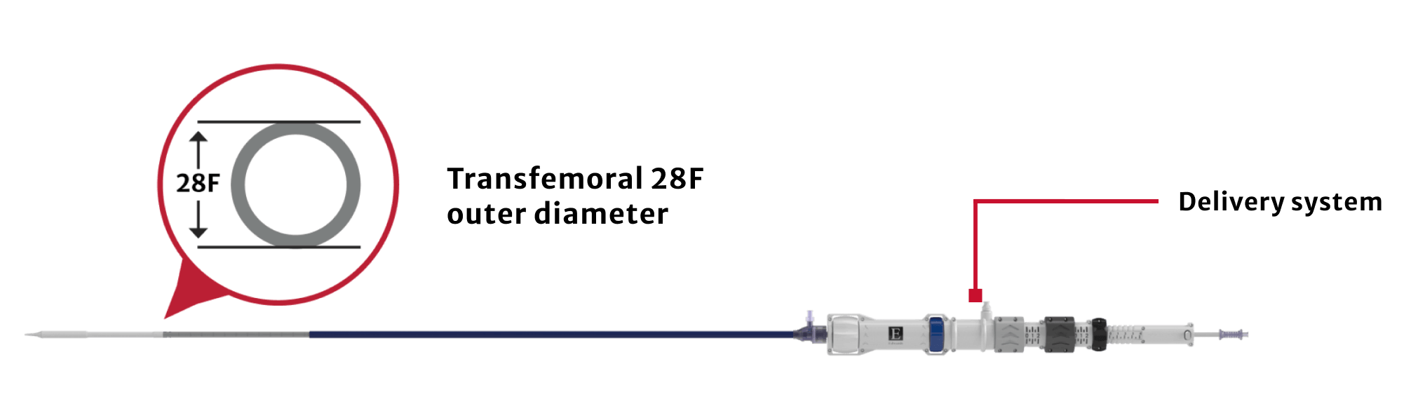 EVOQUE Tricuspid Valve Replacement | Edwards Lifesciences